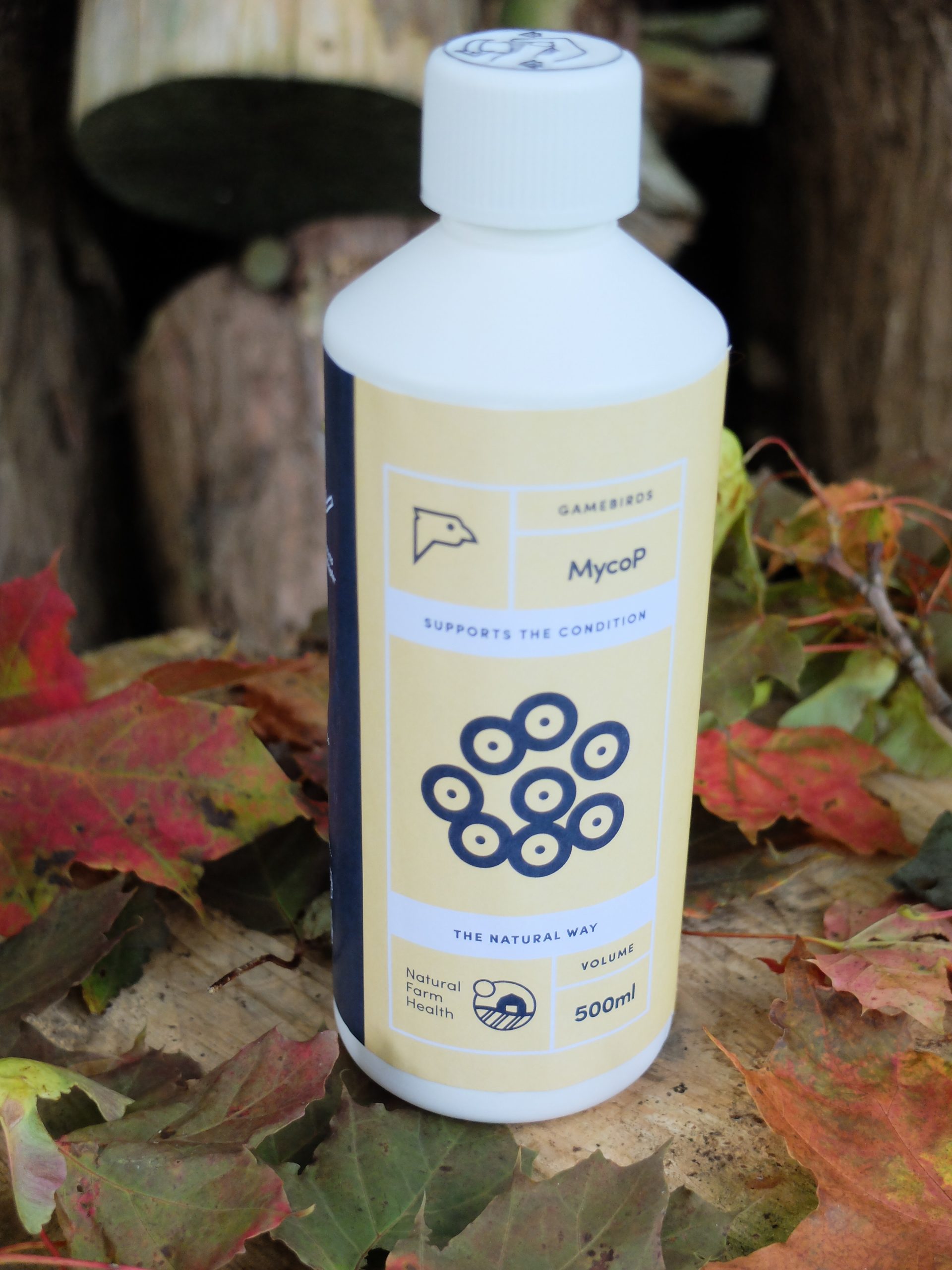 Mycop - Sexy Media Girls on ce-connect.net